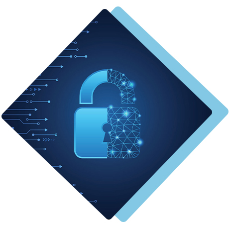 Cyber Security Solutions – NETOLiA