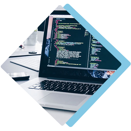 What We Do – NETOLiA